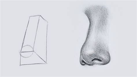 How Do You Draw And Shade A Human Nose