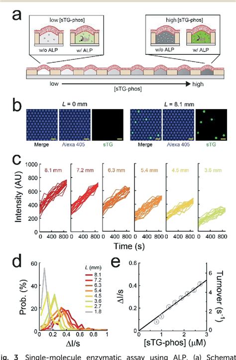 Figure 3 From High Throughput Single Molecule Bioassay Using Micro