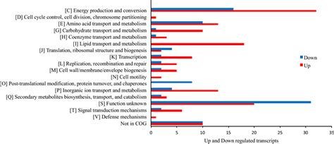 Number Of Differentially Expressed Genes That Are Categorized According Download Scientific