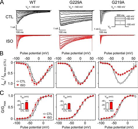 Isoflurane Effects On Voltage Dependent Gating A Representative