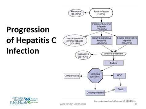 Ppt Hepatitis C An Overview Powerpoint Presentation Free Download Id4007718