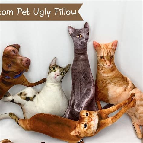 A Cat Pillow Etsy