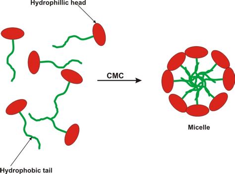 Micelle Junglekeyfr Image