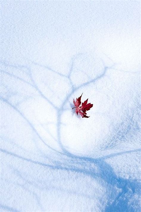 Bilo Ko ~ Igra Svetlosti I Senke Anđeli I Demoni