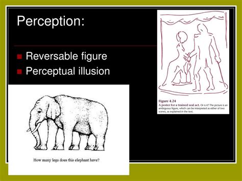 Ppt Chapter 4 Perception Powerpoint Presentation Free Download Id