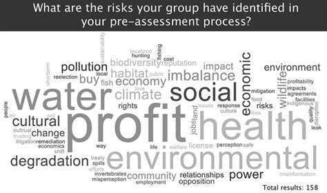 3 Preliminary Risk Assessment Developed By Surveyed Stakeholders