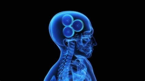 L S G Lectrolyte Youtube