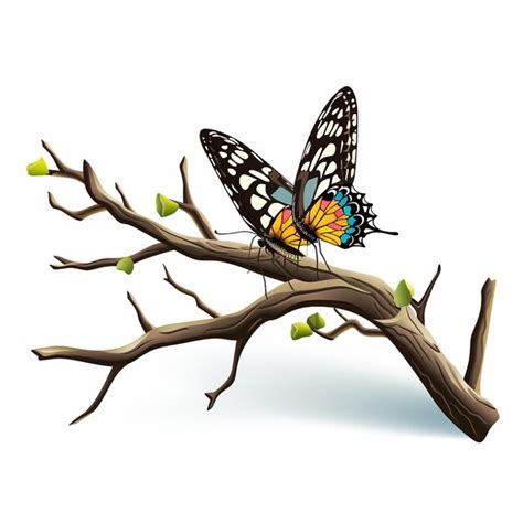 Butterfly Monitoring Vectors And Illustrations For Free Download Freepik