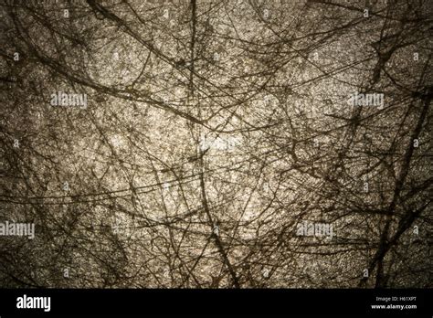 Perfect Abstract Structured Background Texture With Natural Vignette
