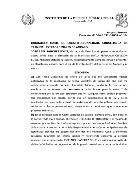 Alegato Vista Pública Jose Abel Sanchez Solis Amparo Pdf Separación De Poderes Gobierno