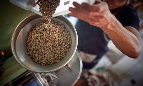 Sample Roast How Roasters Can Upscale It For Production