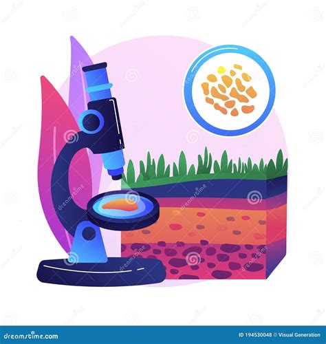Soil Composition Structure Labeled Educational Scheme Vector