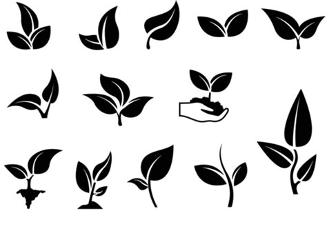 Growth Set Seed Design Vector Set Seed Design Png And Vector With