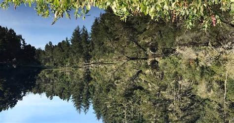 Lagoon Campground Florence Or
