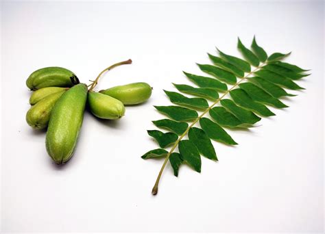 Bilimbi Fruit Or Bilimbing Or Averrhoa Bilimbi Linn And Bilimbi Leaf Isolated On White