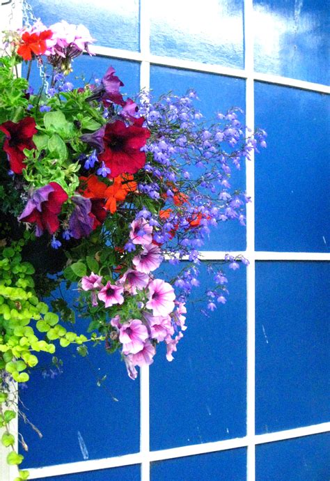 Rainbow Windowbox Catherine Lucas Design