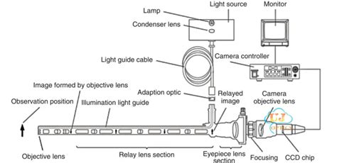 Arthroscope Endoscope D138mm 0° 81° Objective Lens