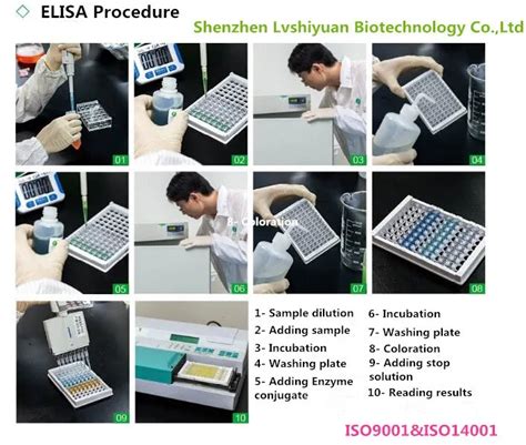 01 Ppb Diazepam Eia Assay Kit Reliable Food Diagnostic