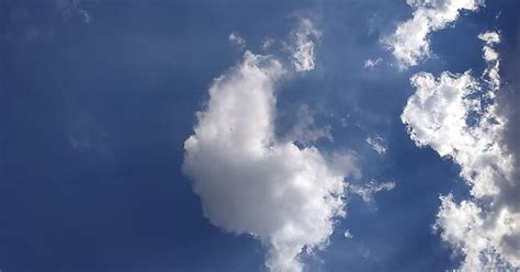 Is It Just Me Or Does This Cloud Look Like Album On Imgur