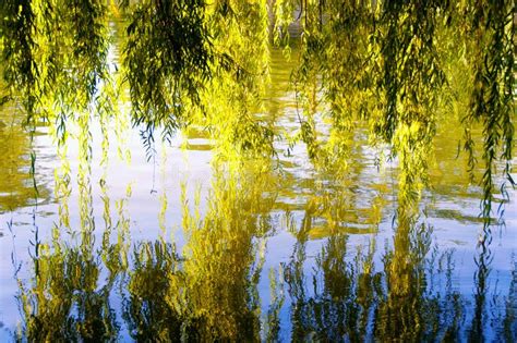 City Of Sofia Stock Image Image Of Sight Parks Sights 58600407