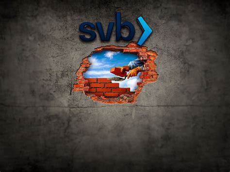 Ceo Y Cfo De Svb Renuncian Tras Colapso De Silicon Valley Bank Infobae