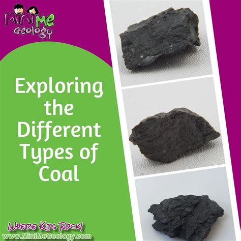 Exploring The 4 Types Of Coal Understanding The Differences