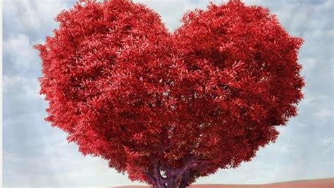 Fundraiser For Paulette Maxwell By Jeannie Jones Support For Our