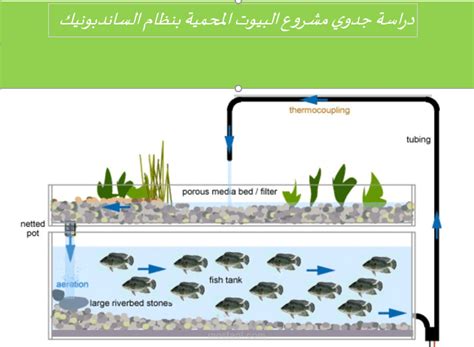دراسة جدوى لمزرعة مائية بنظام الساند بونيك مستقل