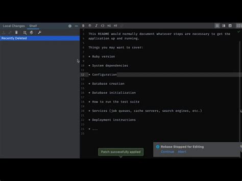 pros and cons of rubymine 2024