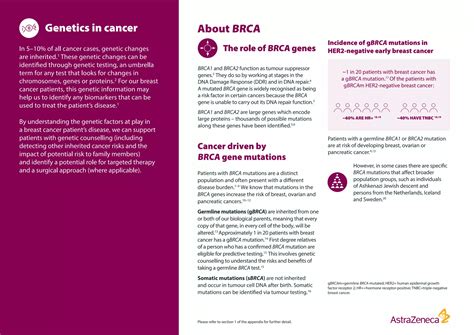 Brca Mutationpdf