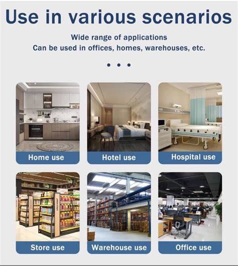 Lizard Dies And Air Dries After Eating Lizard Killer 8pcsboxlizard