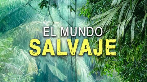 ‎reino Salvaje Apple Tv