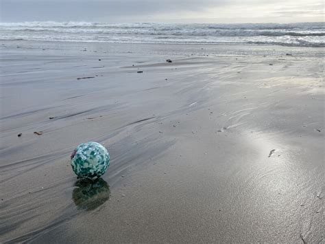 Grace Bourke On Linkedin Walkwithgrace Gracebourke Earthday