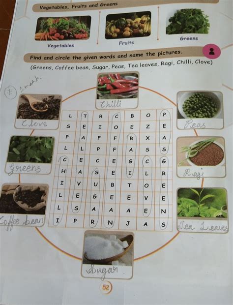 Evs Evs Assignment Teachmint