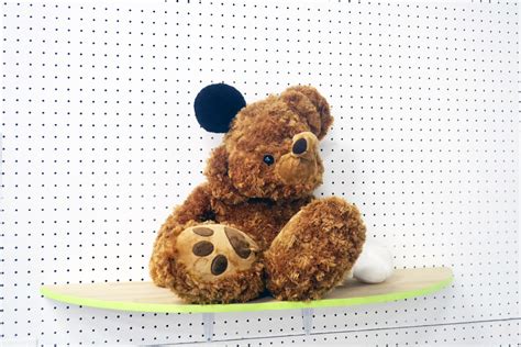 Teddy Mouse 永井天陽 Solaya Nagai