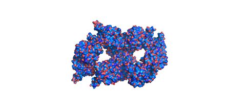 Research Brad Pierce Phd