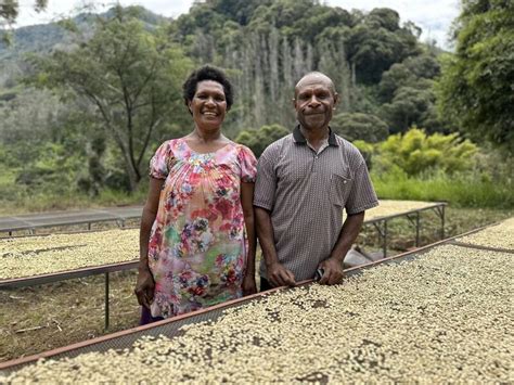 Pngauspartnership Pngcoffee Phama Plus