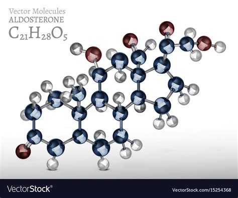 Aldosterone Molecule Image Royalty Free Vector Image