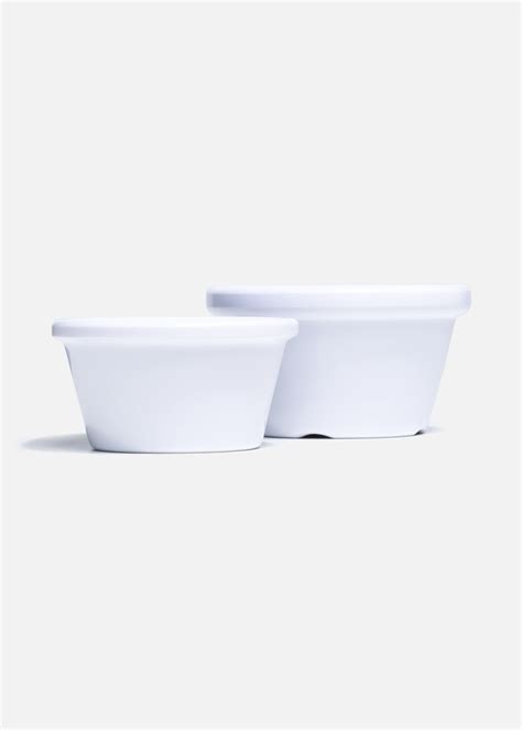 Ramekin Blanco Bo Precio Mayoreo Compra En Maha
