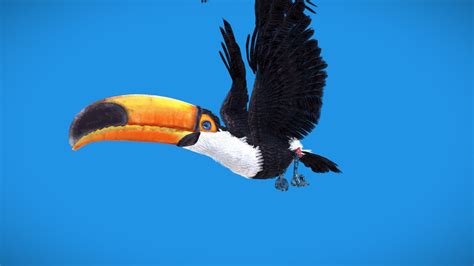 Toco Toucan Buy Royalty Free 3d Model By Maycon Chaves [7c23098] Sketchfab Store