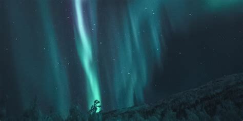 일반오마카세x 자유이니 Crepe