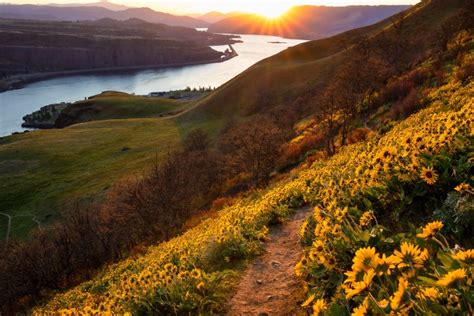 Colorful Trails Scenic Washington Wildflower Hikes