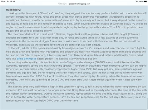 Xenotoca Doadrioi San Marcos Goodeid General Chat Aquarium Co Op Forum