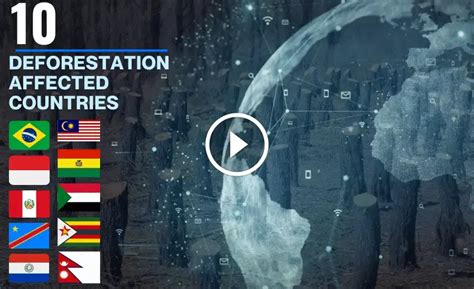 Ten Most Deforestation Affected Countries In The World