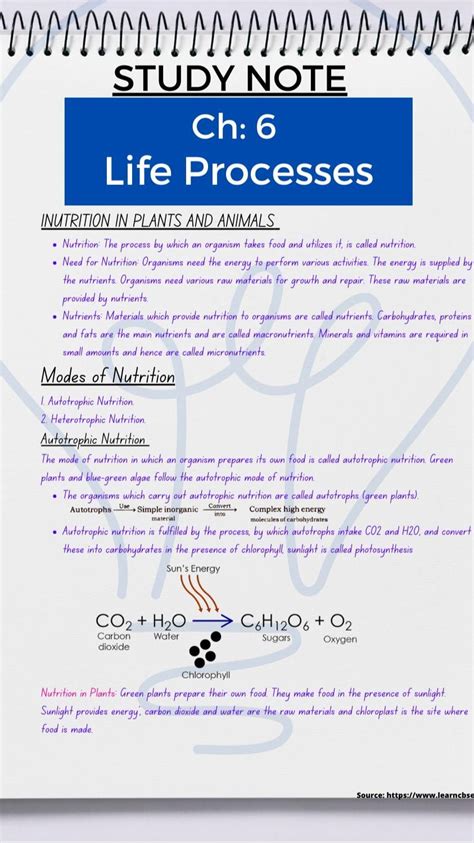 Science Notes 45 Class 10 Science Notes Ideas To Save Today Study