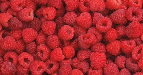 Order Up Red Raspberry Taxonomy Quiz By Sparkblip