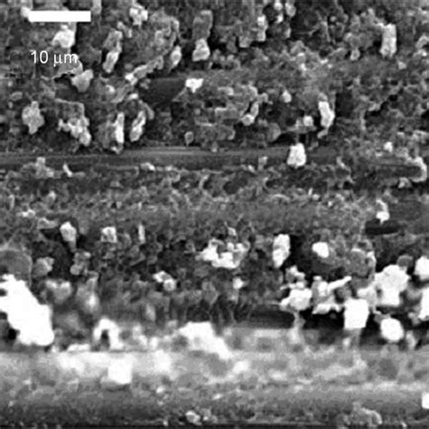 Scanning Electron Micrographs Showing Fracture Surfaces Of Htm 40 Htm