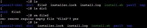 How To Safely Delete Files And Directories Using Linux Command