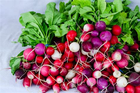 15 Types Of Radishes To Grow In Your Garden Crate And Basket