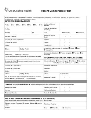 Spanish Demographic Form Complete With Ease Airslate Signnow